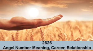 2626 Angel Number Meaning, Significance, Twin Flame, Facts
